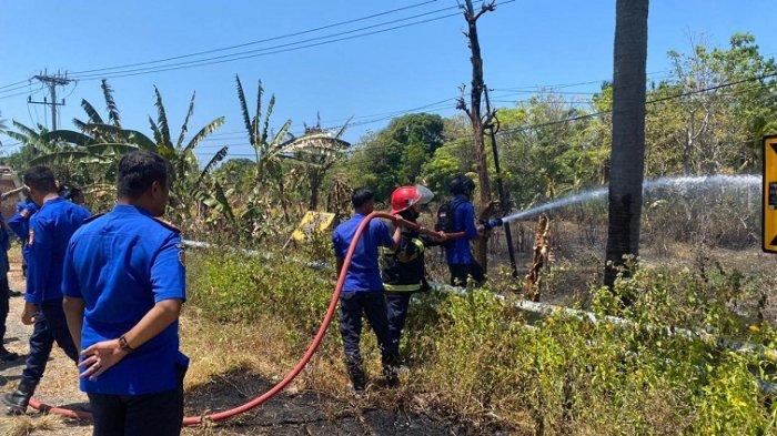 Polisi Ingatkan Warga Bakar Lahan Picu Kebakaran Luas di Palippis ... Polisi Ingatkan Warga Bakar Lahan Picu Kebakaran Luas di Palippis ...