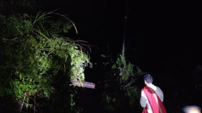 Pohon Tumbang di Mamasa, Jalan Penghubung Kelurahan Messawa dan Desa ...