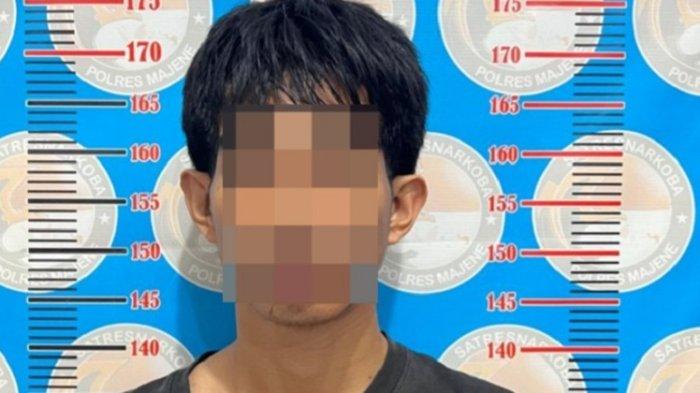 Polres Majene Tangkap Residivis Narkoba Asal Campalagian, 4 Kali Keluar Masuk Penjara - Tribun ...