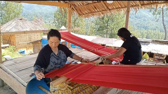 YUK! Intip Proses Menenun Sambu Mamasa, Butuh Kesabaran dan Ketekunan ...