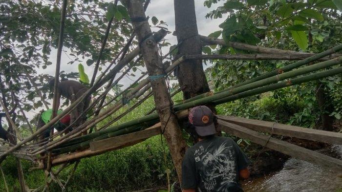 Warga Tobadak Mateng Gotong Royong Perbaiki Jembatan Bambu dan Jalan ...