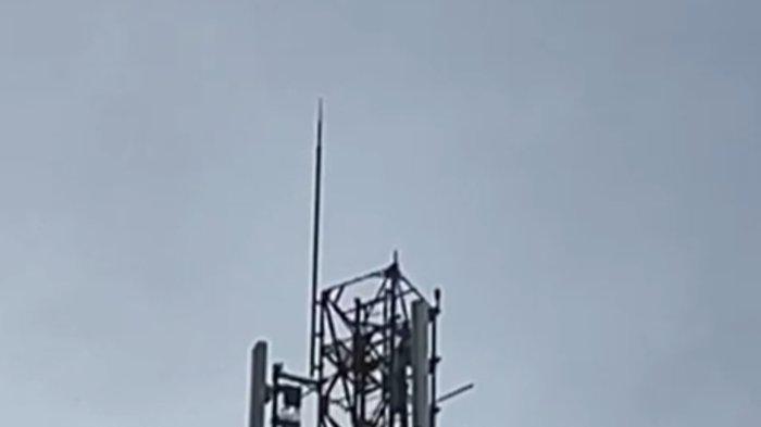 Viral Bocah di Topoyo Mamuju Tengah Nekat Panjat Tower Telkomsel ...
