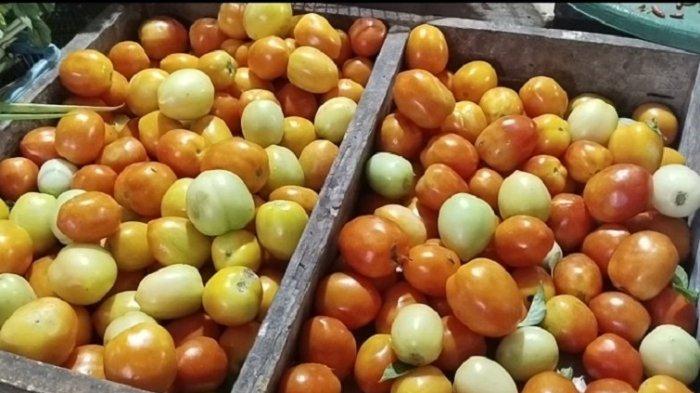 Harga Tomat di Pasar Topoyo Mamuju Tengah Capai Rp 28 Ribu Per Kilogram ...