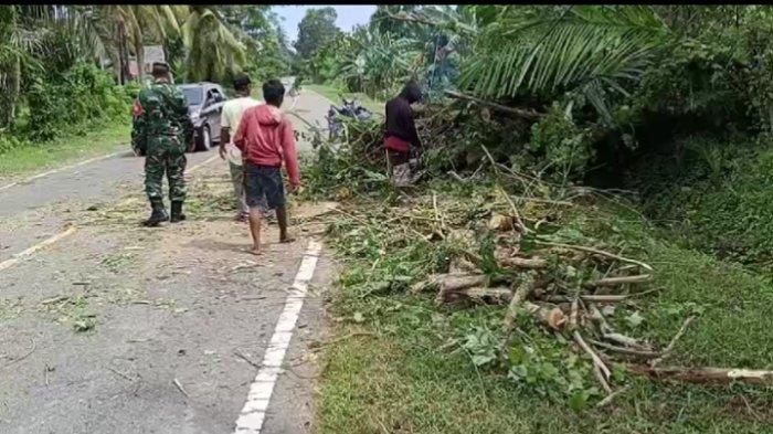 Warga dan Aparat Desa Gotong Royong Bersihkan Pohon Tumbang Tutupi Jalan di Kasoloang Pasangkayu ...