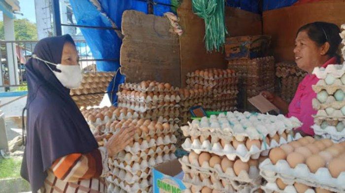 HASIL Uji Klinis Ahli Tentang Antibodi Kuning Telur Ayam Dipercaya BIsa ...