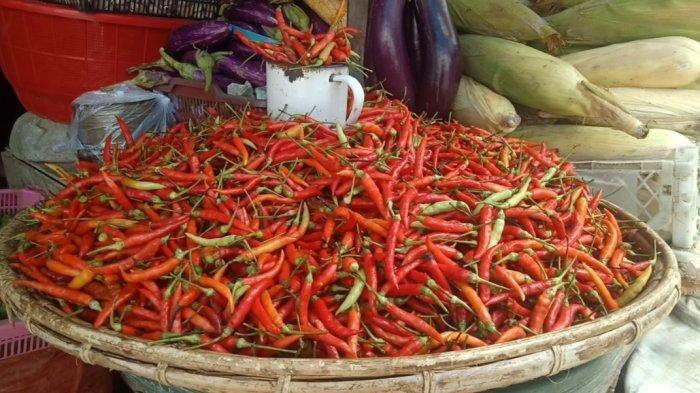 Dekat Ramadan Harga Cabai di Mamasa Pedas Sekali, Kini tembus Rp65 Ribu per Kilogram - Tribun ...
