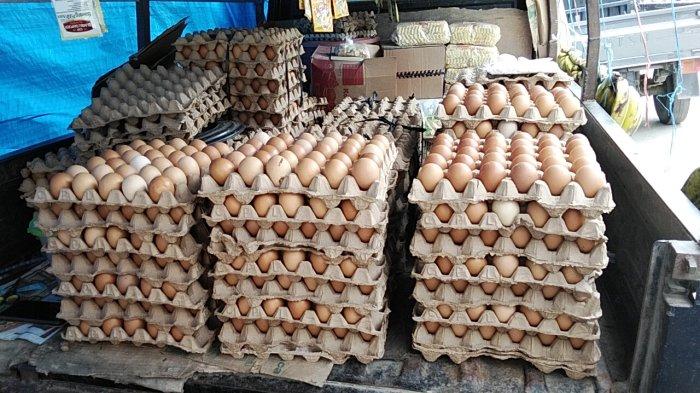 Harga Telur Ayam Ras di Mamasa Terbang Kini Rp55 Ribu per Rak dari ...