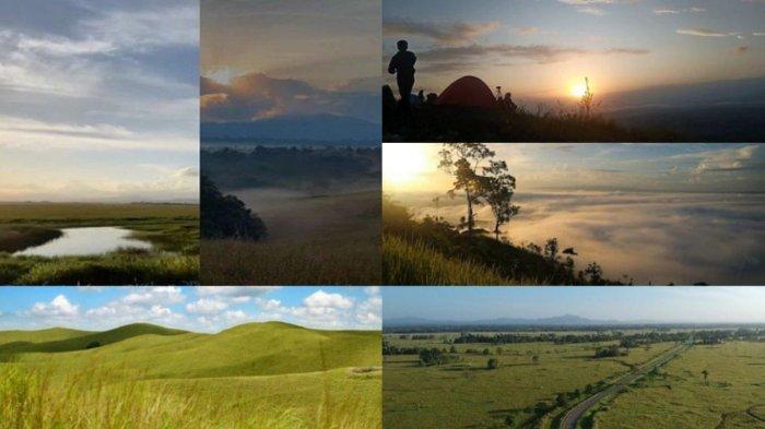 6 Spot Wisata di Taman Nasional Rawa Aopa Konawe Selatan Sulawesi ...