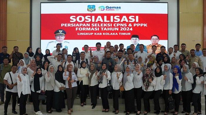 800 Kuota CPNS dan PPPK 2024 Kolaka Timur Sulawesi Tenggara Disetujui, Ini Rincian Formasinya ...