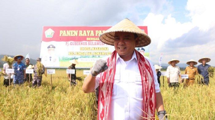 Hasil Panen Raya Padi di Konsel Capai Ribuan Ton, Pj Gubernur Sultra Dorong Kesejahteraan Petani ...