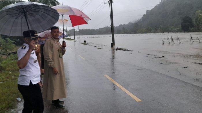 Banjir di Bungi Baubau Sulawesi Tenggara, Ratusan Hektare Sawah Terendam Air Gegara Sungai ...