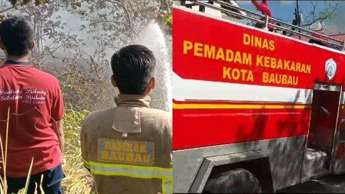 CATAT! Call Center Mako Damkar Baubau Sultra, Hubungi Jika Terjadi ...