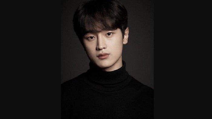 Daftar Drama Korea yang Dibintangi Kim Do Wan, Seventeen hingga Drakor ...