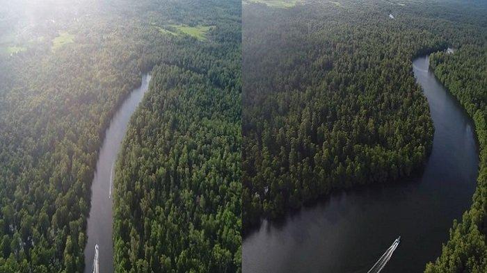 Hutan Mangrove di Buton Utara Sultra Suguhkan Sensasi Petualangan Alam ...