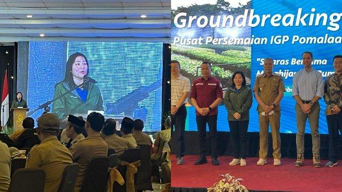 PT Vale Sosialisasi Ground Breaking Pusat Persemaian IGP Pomalaa Kolaka ...