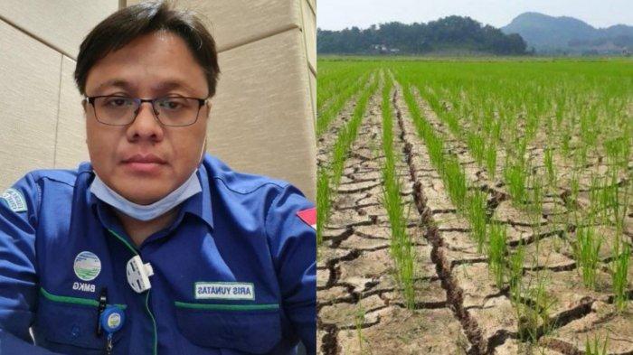 Waspada! Awal Musim Kemarau 2024 Ditandai Cuaca Ekstrem, Warga Sultra Diimbau Mitigasi ...