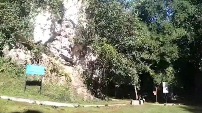 VIDEO Gambar Cadas Purbakala di Liang Metanduno Desa Liang Kobori ...