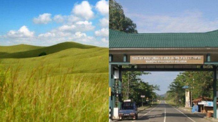 Mengenal Taman Nasional Rawa Aopa Watumohai Sulawesi Tenggara, Tertua ...