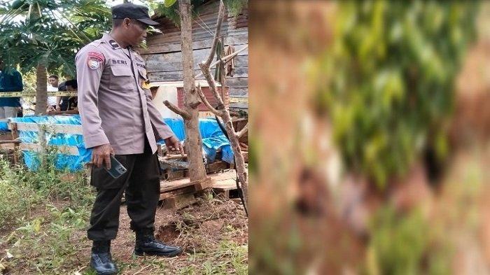 Penyebab Kematian Petani Asal Luwu Timur di Kebun Merica Kolaka Utara ...