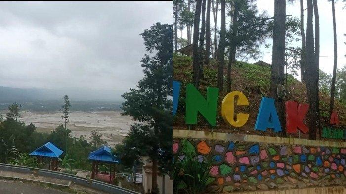 Puncak Alamo di Kolaka Timur, Sajikan Pemandangan Pohon Pinus Bisa Jadi ...