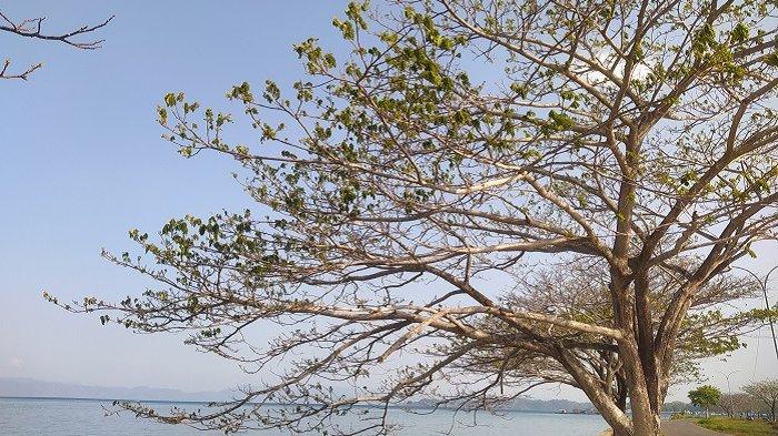 Selain Pirla Raha, Ini Spot Foto Berlatar Belakang Laut di Muna ...