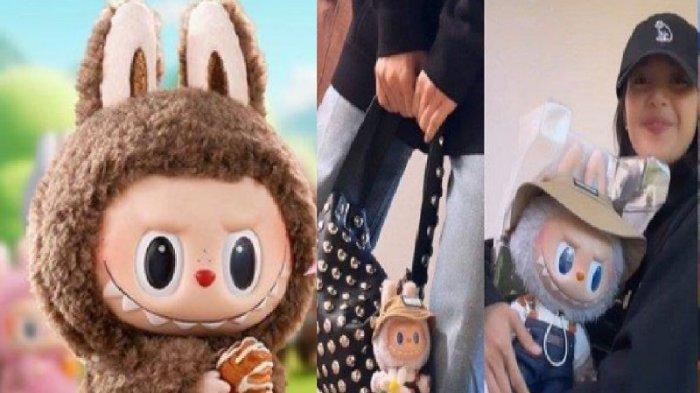 Awal Mula Boneka Labubu Viral Gegara Lisa BLACKPINK, Harga Naik hingga Rp 1 Juta Banyak ...