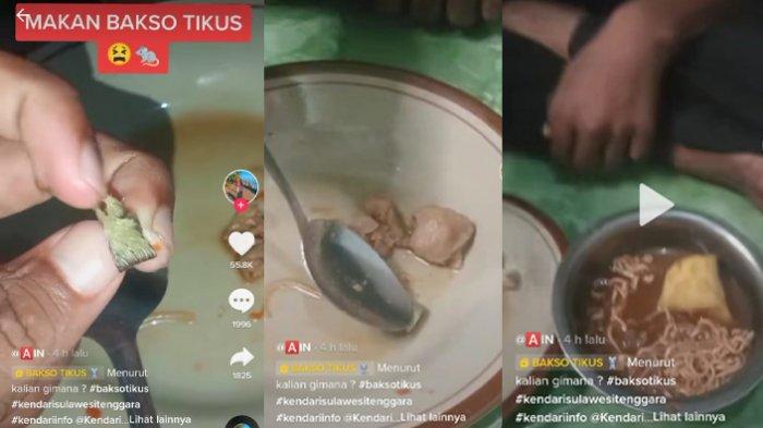 Viral, Pemuda di Kendari Mengaku Makan Bakso Tikus, Begini Penjelasan ...