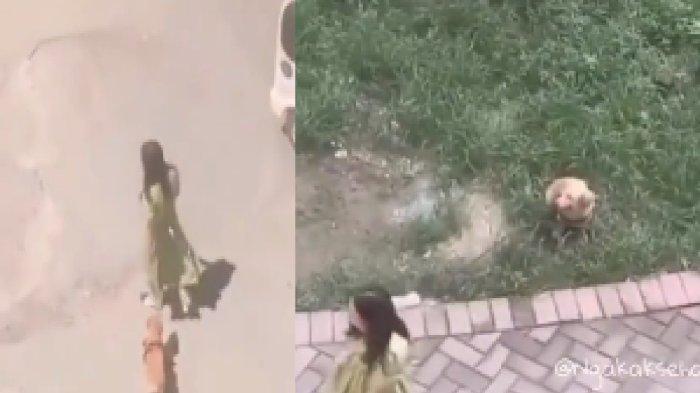 Viral Cewek Ngambek Lepas Tali Anjing Peliharaan Langsung Dikejar, Netizen: Hewan Pun Ngalah ...