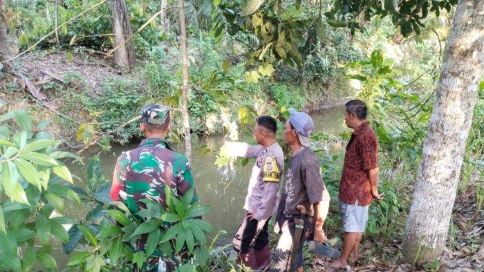 Detik-detik Bocah yang Hilang Ditemukan Tewas Mengapung di Sungai Toari Kolaka Sulawesi Tenggara ...