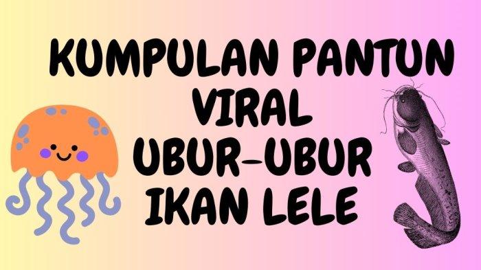 50 Pantun Ubur-ubur Ikan Lele Viral di Medsos, Cocok untuk Ungkapkan Isi Hati hingga Candaan ...