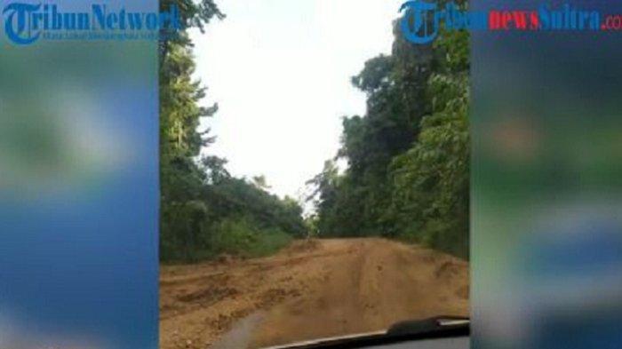Warga Buton Utara Keluhkan Jalan Provinsi di Butur, Rusak Parah hingga ...