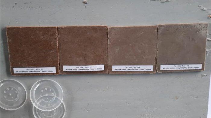 Usai Makan Sate Pokea, Limbah Cangkang Kerang Pokea Bisa Jadi Papan ...