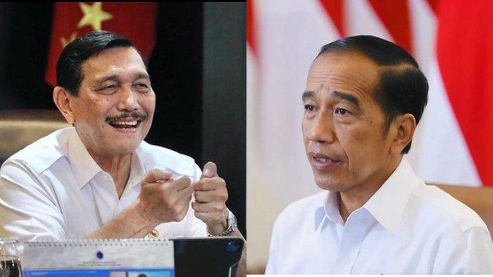 Pengamat Kritik Jokowi Tunjuk Luhut Urusi Minyak Goreng: Menteri Segala Urusan alias Perdana ...