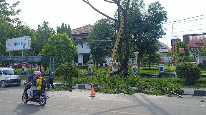 Sering Terjadi Pemadaman PLN ULP Wuawua Pangkas Sejumlah Dahan Pohon di ...