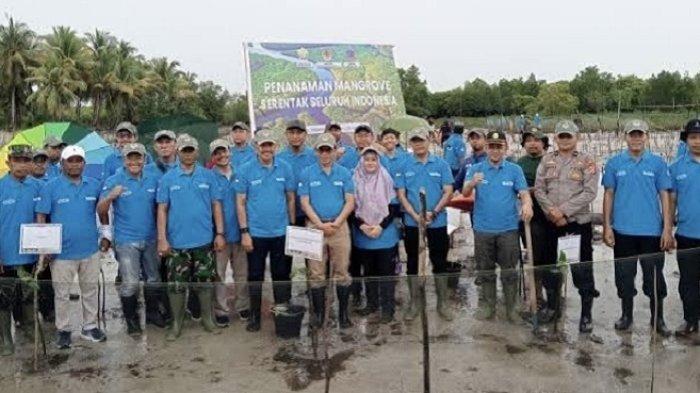 5 Ribu Pohon Mangrove Ditanam Kementerian KLHK di Desa Labone Kabupaten Muna Sultra ...