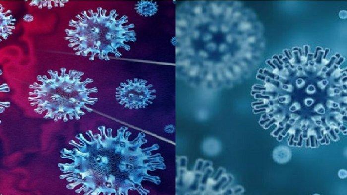 Apa Itu HMPV? Virus Viral di Tiongkok, Gejala Seperti Flu Biasa, 12 ...