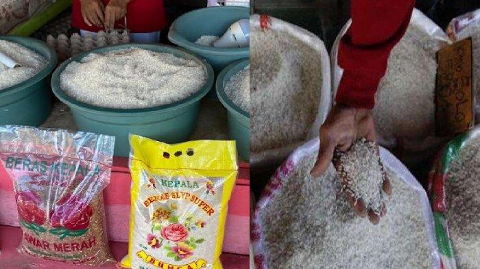 Berita beras mahal Terbaru Hari Ini - Tribunnewssultra.com