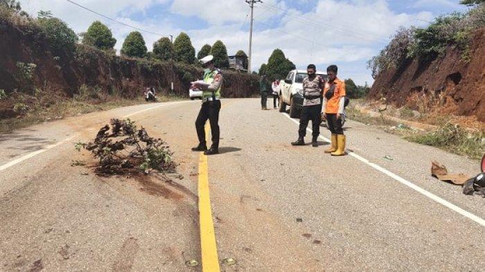 Bayi 4 Bulan Tewas dalam Kecelakaan di Tol Pandaan-Malang, Minibus Pecah Ban hingga Terbalik ...