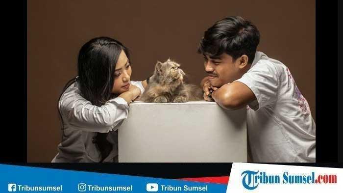 Apa Itu Anabul? Ini Artinya, Cat dan Dog Lovers Harus Tahu ...
