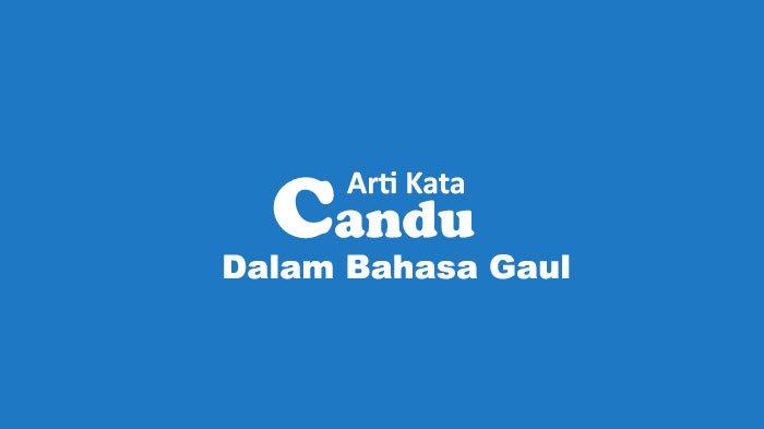 Apa Arti Kata Candu dalam Bahasa Gaul? Kosa Kata Populer di Media Sosial, Ini Maksud dan ...