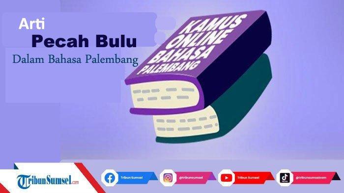 Arti Pecah Bulu Bahasa Palembang, Ini Maksud dan Contoh Kalimatnya, Kamus Bahasa Palembang ...