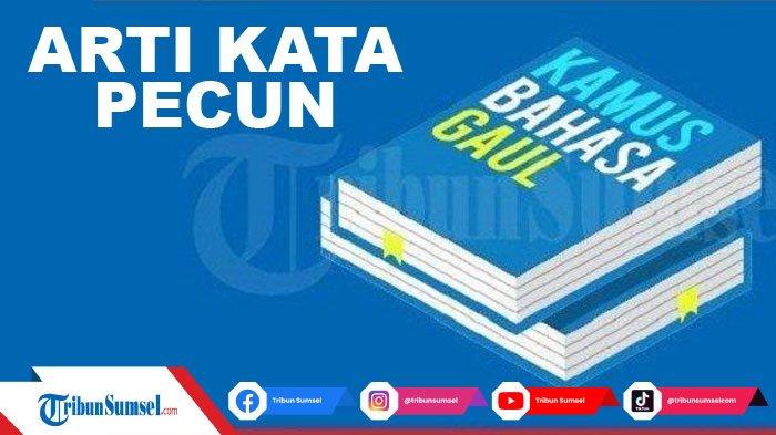 Apa Arti Pecun dalam Bahasa Gaul yang Viral di Media Sosial, Ini ...