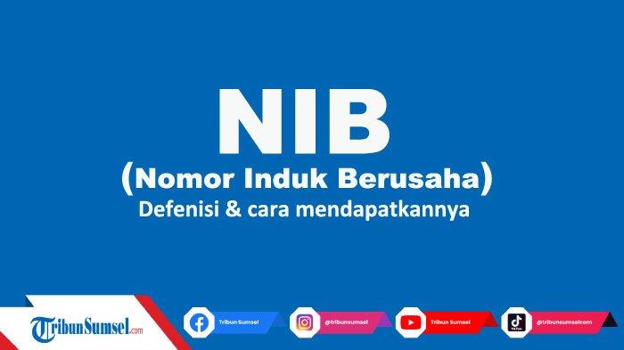 Apa Itu NIB? Penting Untuk Pelaku Usaha, Ini Defenisi Beserta Cara ...