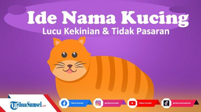 Rekomendasi 110 Nama Kucing Pilihan yang Lucu dan Kekinian Dijamin ...