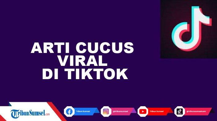 Arti Cucus Viral di Tiktok, Istilah Bahasa Gaul Populer di Kalangan Anak Muda - Tribunsumsel.com