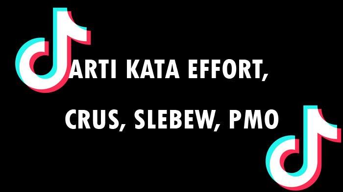 Arti Kata Effort, Crus, Slebew, PMO, Daftar Bahasa Gaul Terbaru 2022 Viral di Tiktok ...