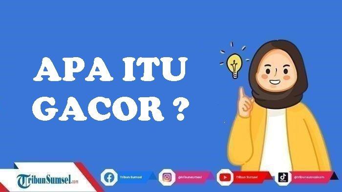 Arti Kata Gacor dalam Kamus Bahasa Gaul, Begini Makna Asli dan Contoh ...