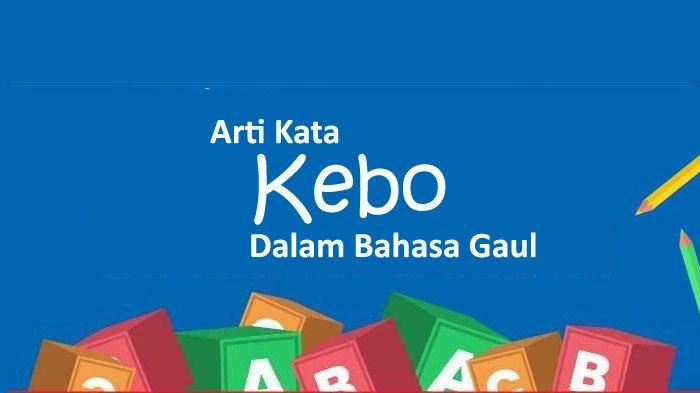Arti Kata Kebo dalam Bahasa Gaul, Jangan Sampai Salah Paham, Ini Maksud ...