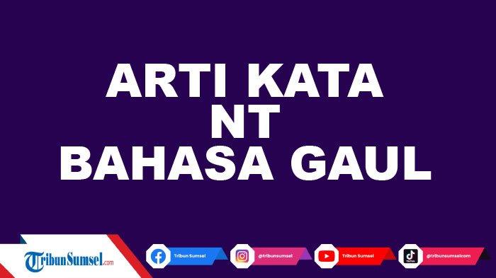 Arti Kata NT dalam Bahasa Gaul, Istilah yang Populer dan Terbaru di Media Sosial - Tribunsumsel.com