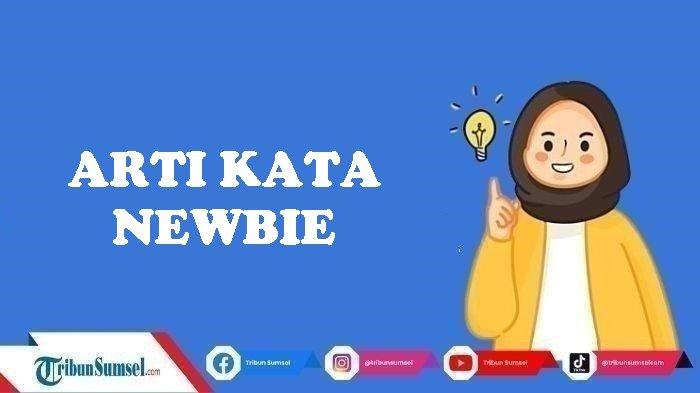 Arti Kata Newbie dalam Bahasa Gaul, Istilah Populer Dikalangan Anak Muda - Tribunsumsel.com